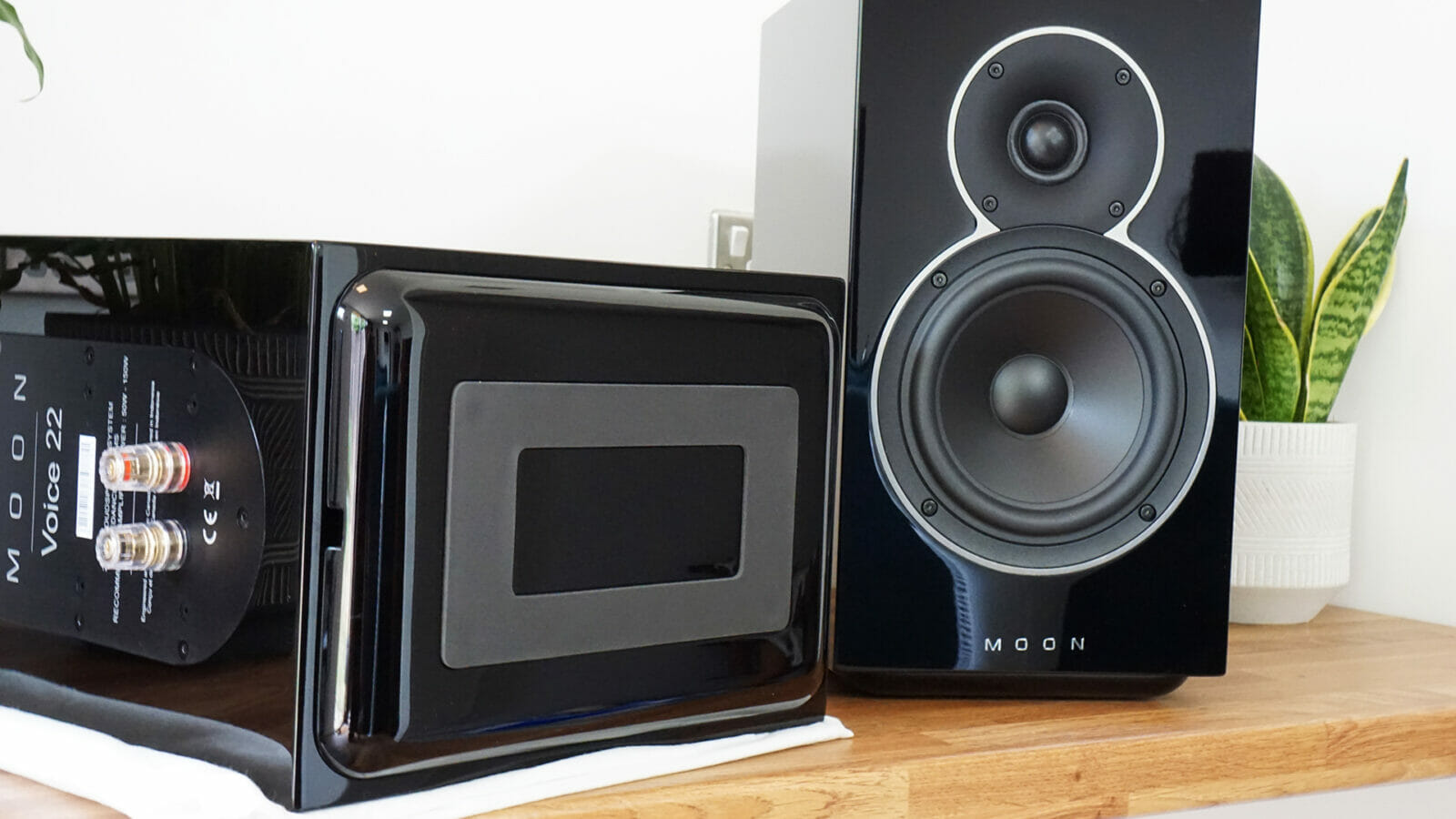 MOON Voice 22 loudspeaker review - Audiograde